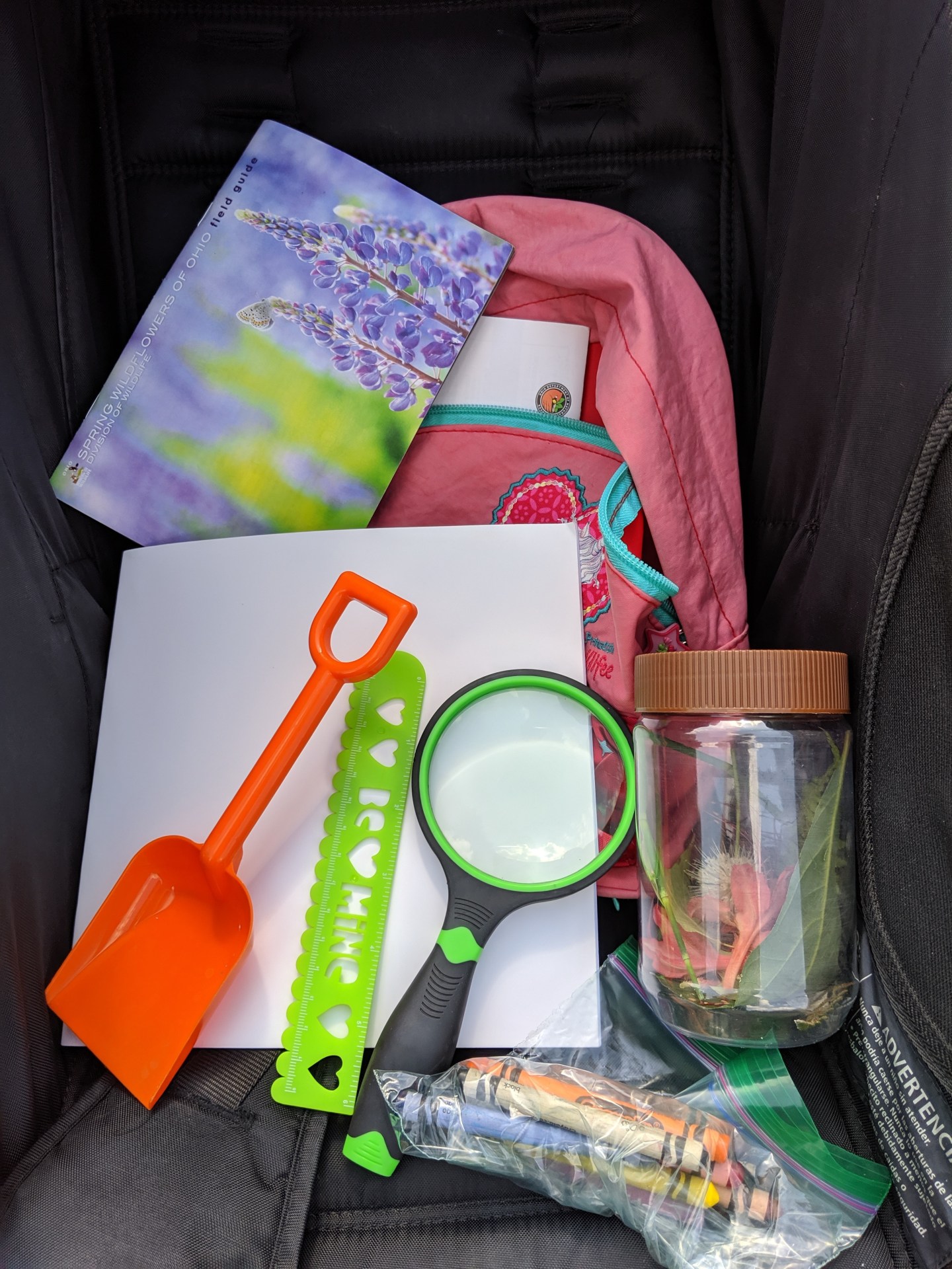 Make your own Explorer Packs for Nature Exploration with the Kids ...