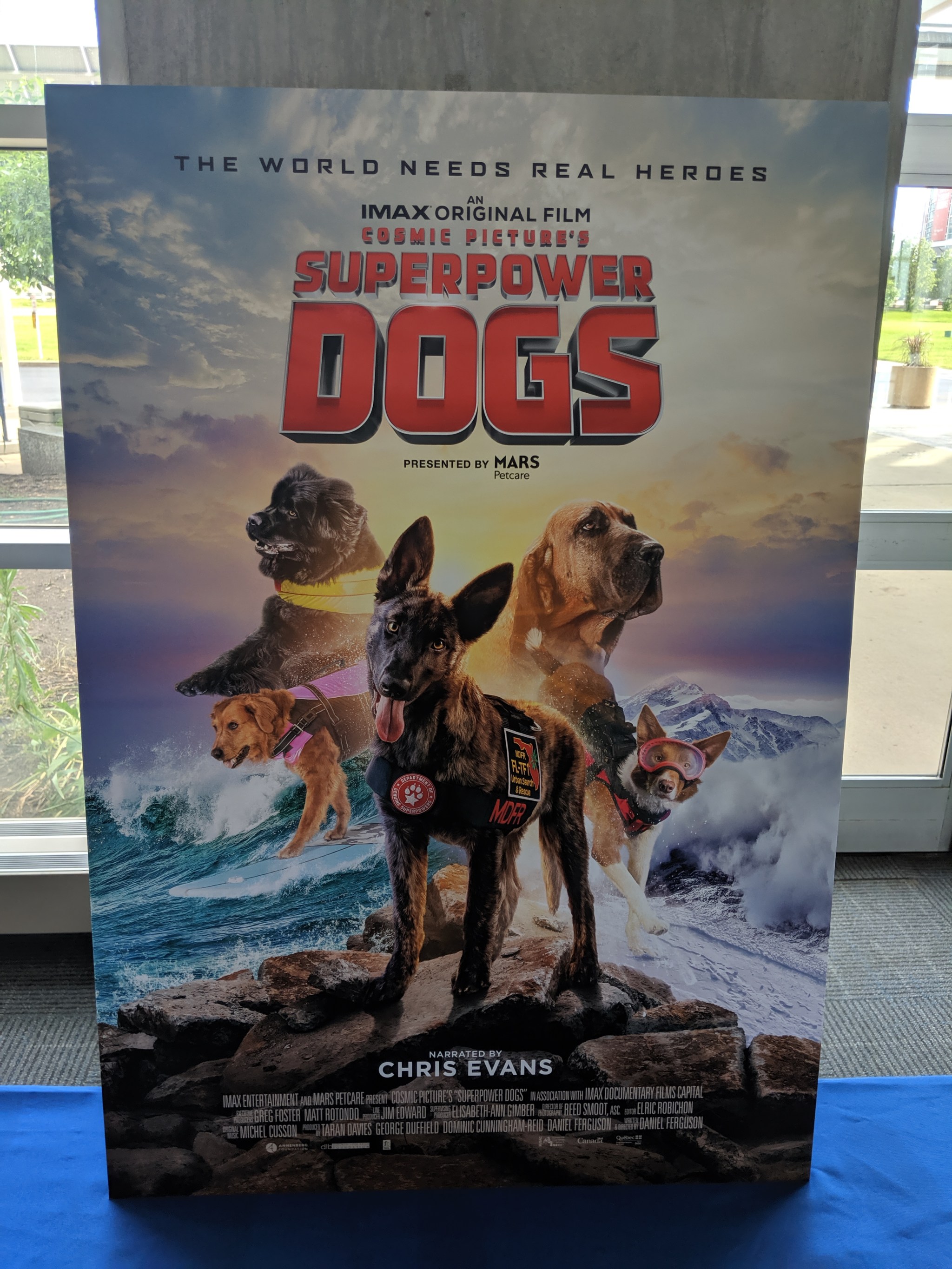 Celebrate Superpower Dogs at the GLSC – Momgineering the Future