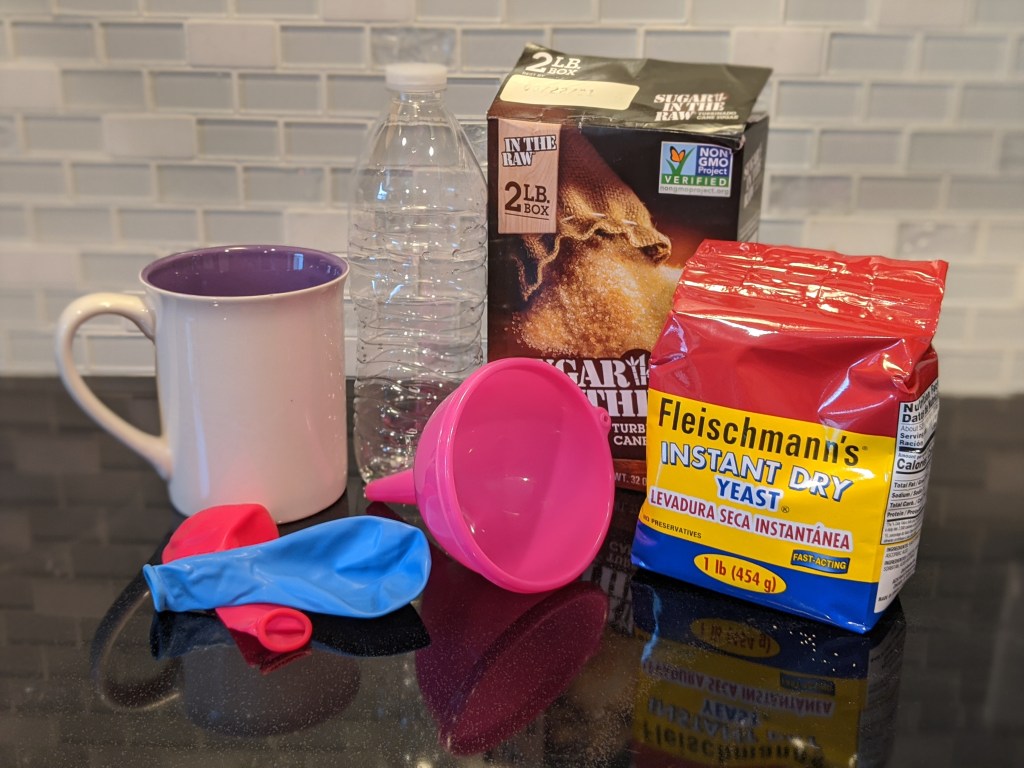 Becoming a Microbiologist with Yeast Balloons! – Momgineering the Future