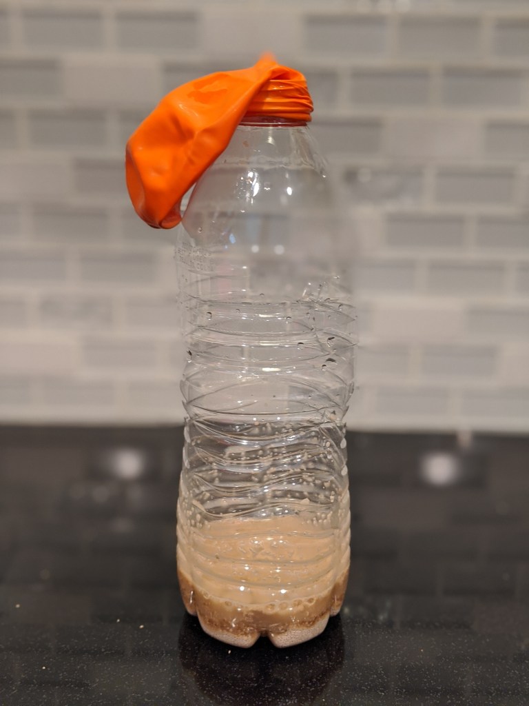 Becoming a Microbiologist with Yeast Balloons! – Momgineering the Future