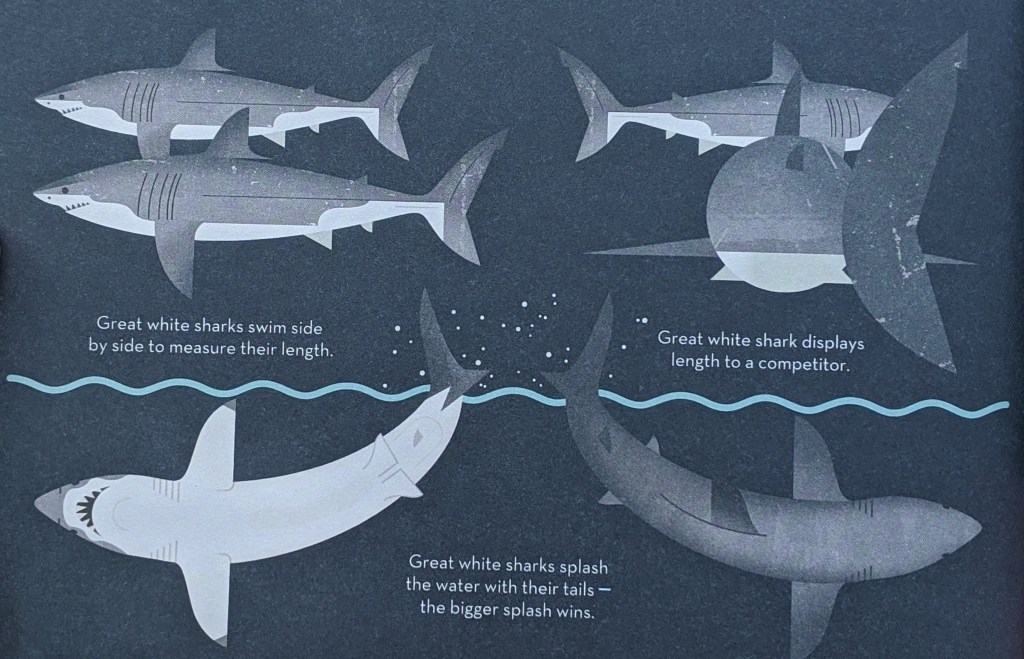 Reading STEMs Learning: Smart About Sharks – Momgineering the Future